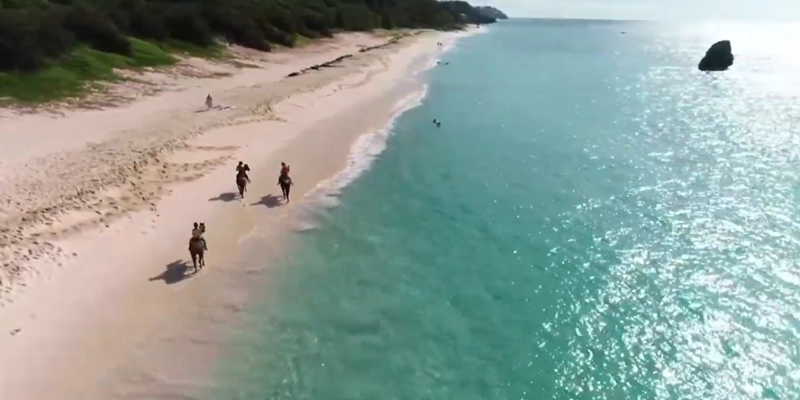Video: Bermuda Featured On Ocean Treks Show - Forever Bermuda