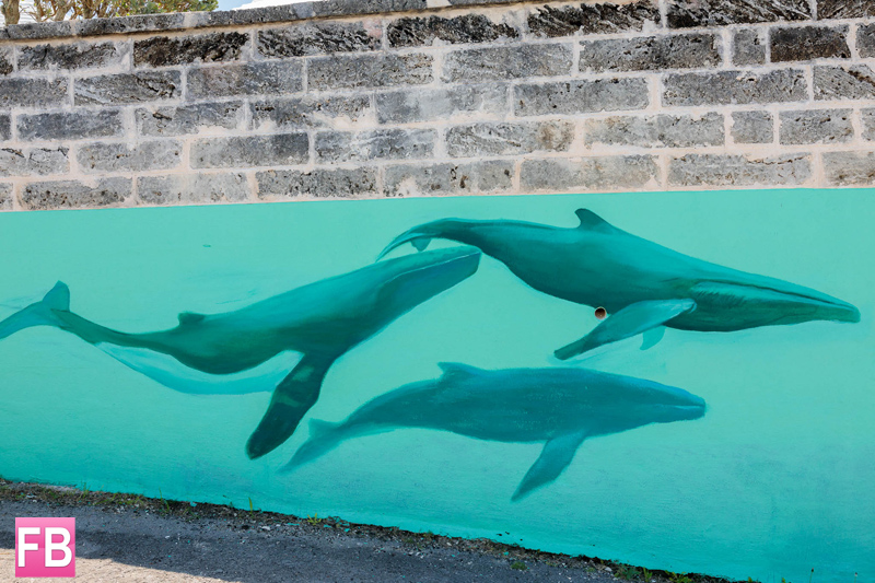 Photos & Video: Artist Creates Ocean Sea Life Mural - Forever Bermuda