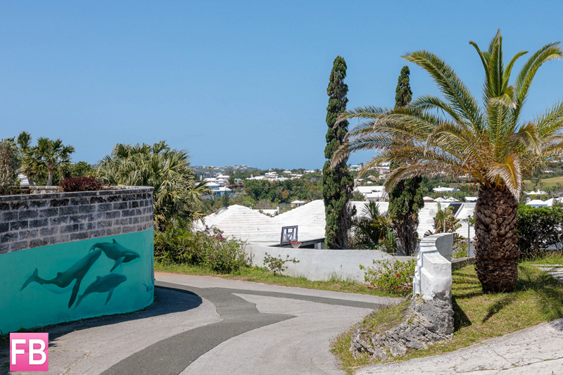 Photos & Video: Artist Creates Ocean Sea Life Mural - Forever Bermuda