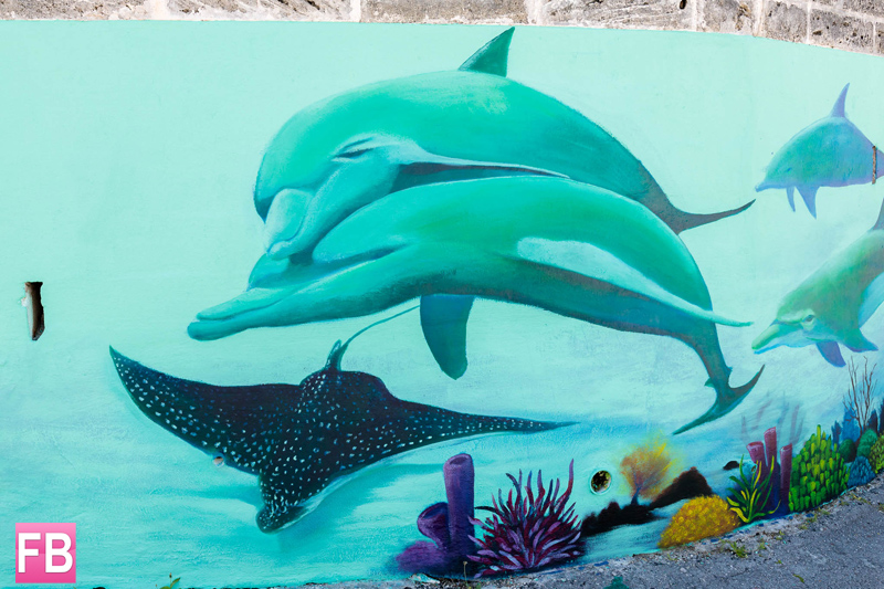 Photos & Video: Artist Creates Ocean Sea Life Mural - Forever Bermuda