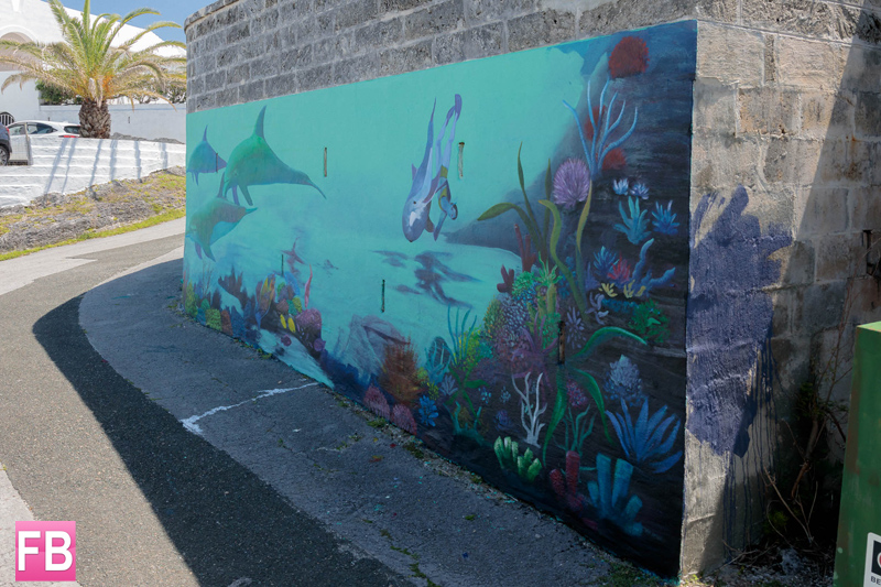 Photos & Video: Artist Creates Ocean Sea Life Mural - Forever Bermuda