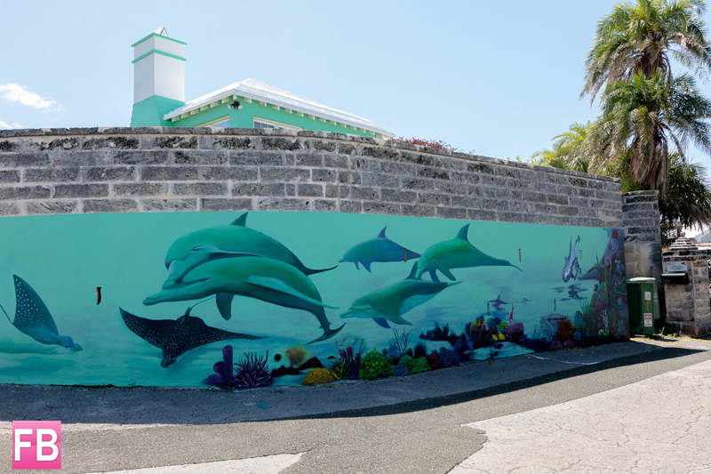 Photos & Video: Artist Creates Ocean Sea Life Mural - Forever Bermuda